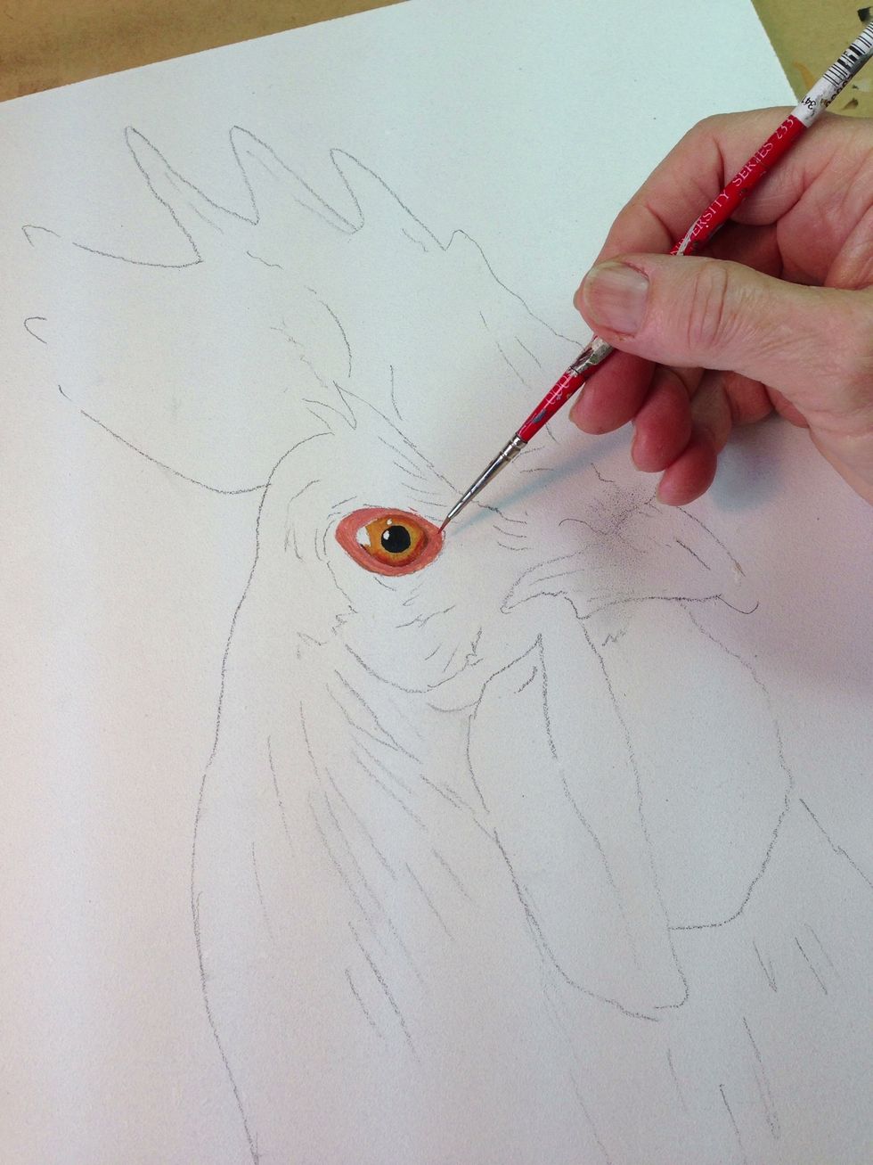 How to paint a rooster portrait - B+C Guides