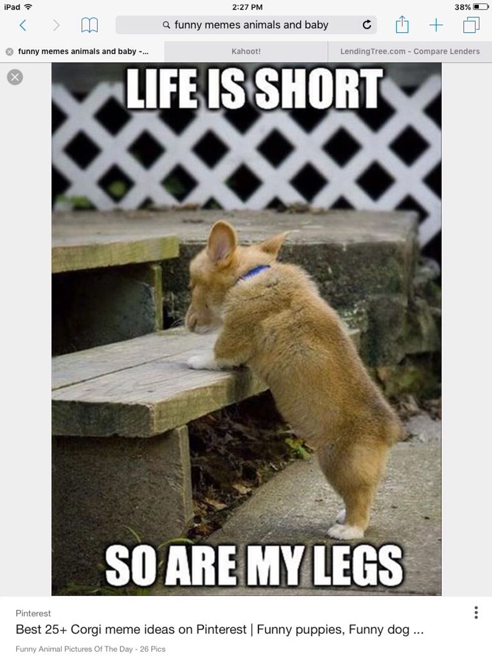 How to make memes - B+C Guides