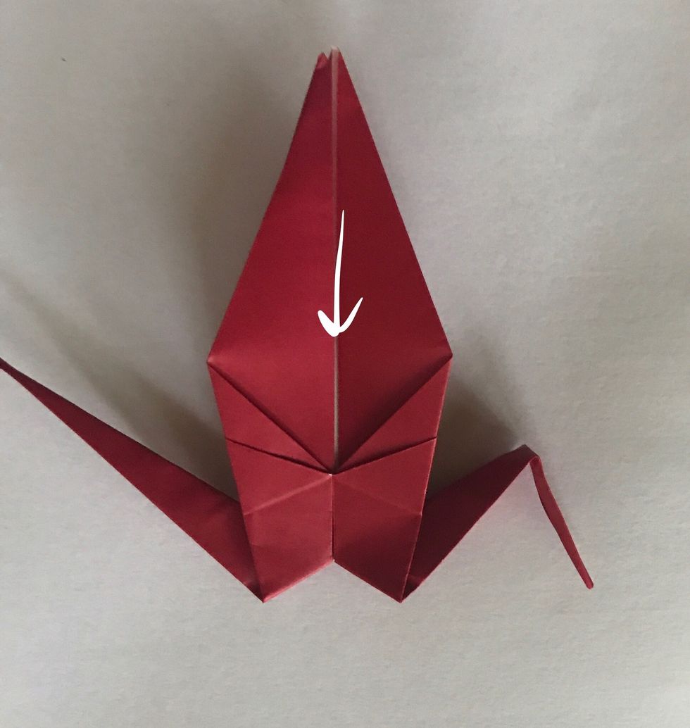 Fold wings down & crease - B+C Guides
