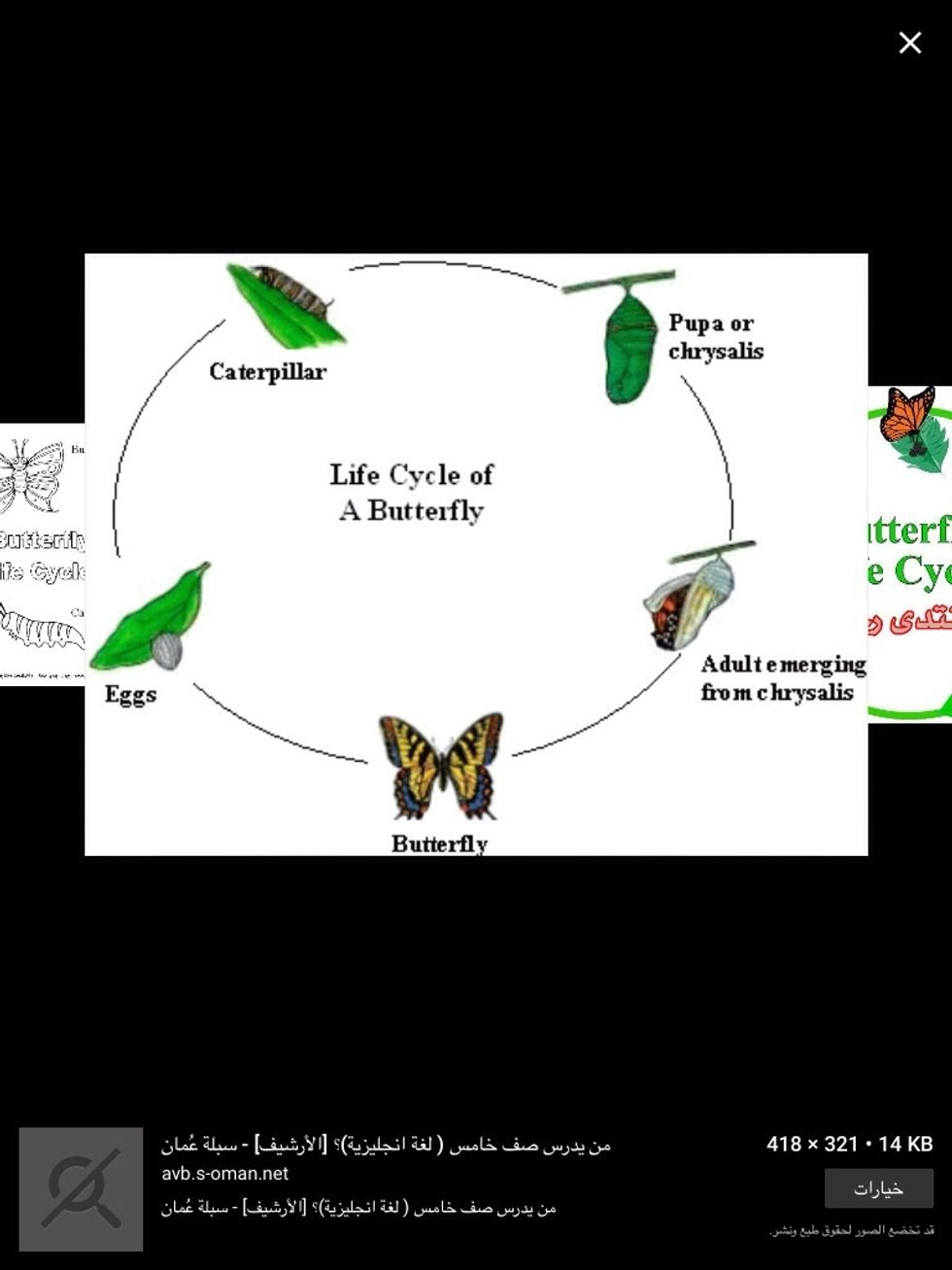 How To B C Guides how-to-b-c-guides