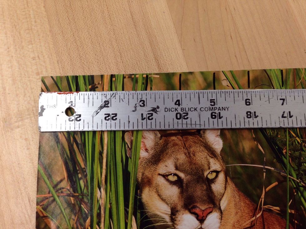 How to use a grid method to draw or enlarge picture. - B+C Guides