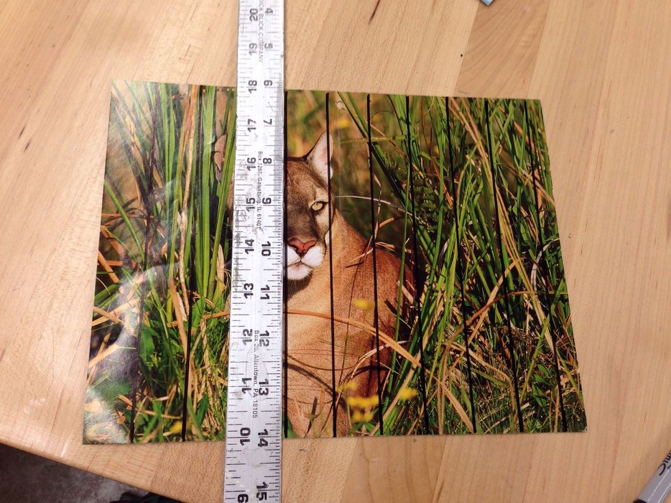 How to use a grid method to draw or enlarge picture. - B+C Guides