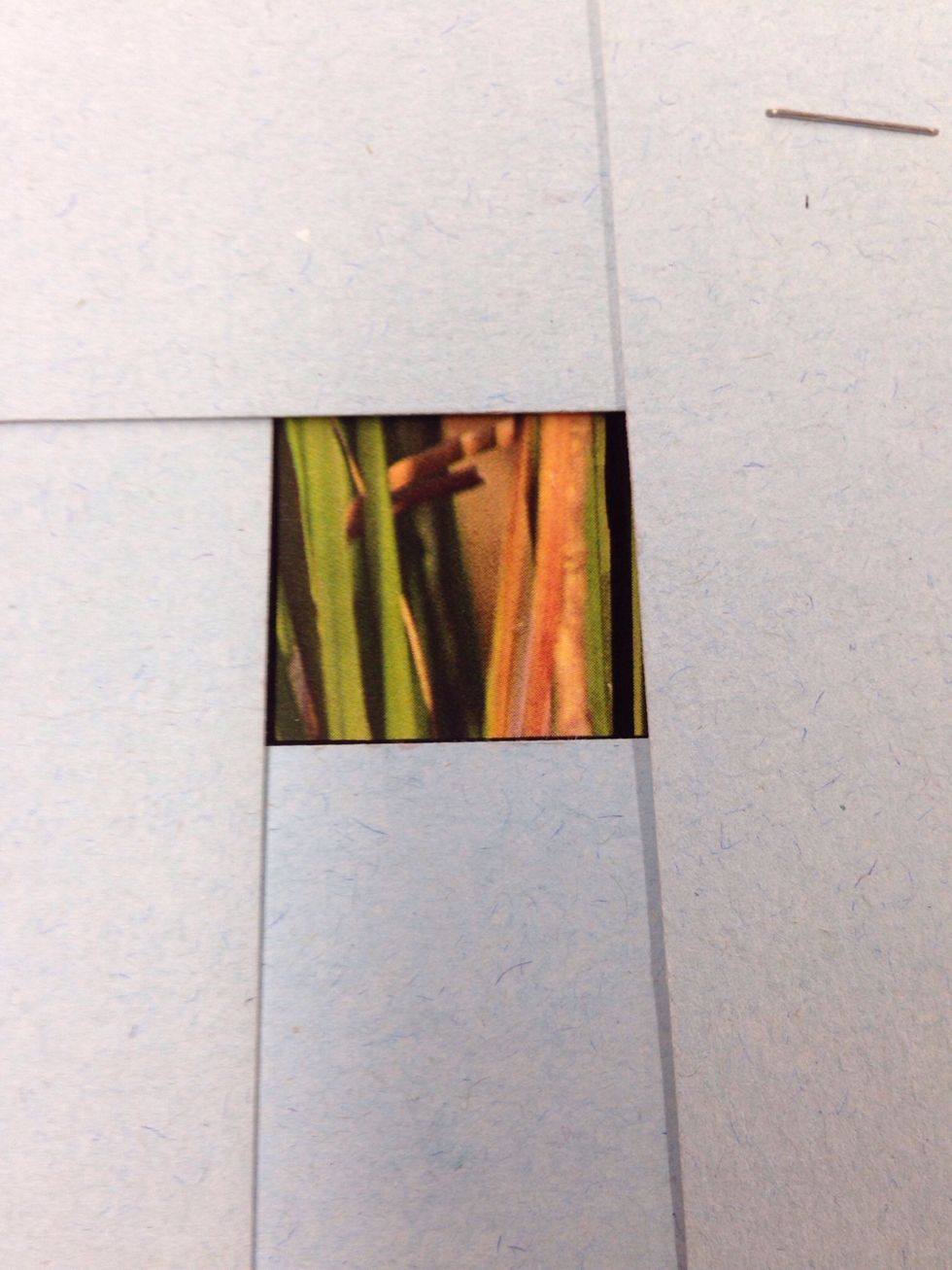 How to use a grid method to draw or enlarge picture. - B+C Guides