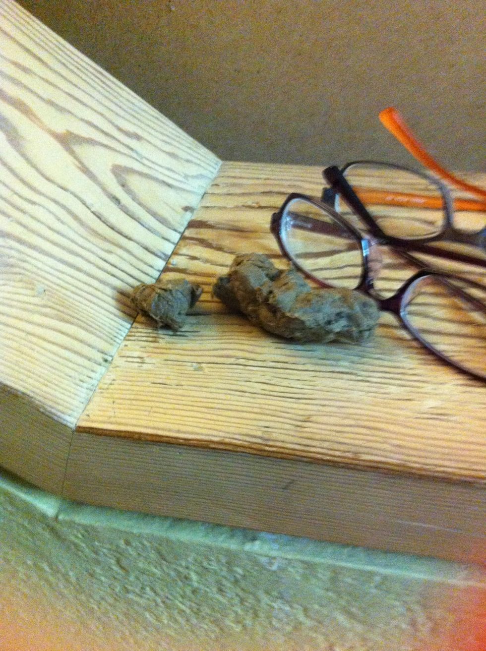 How to make fake poop - B+C Guides