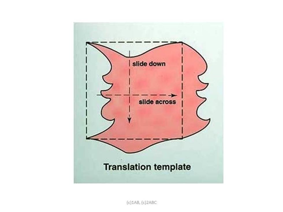 How to create a translation tessellation - B+C Guides
