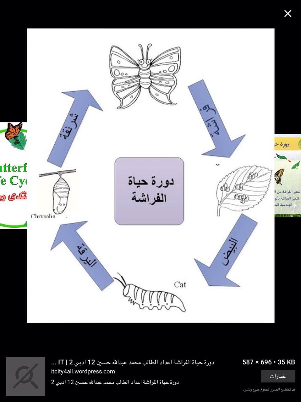How To B C Guides how-to-b-c-guides