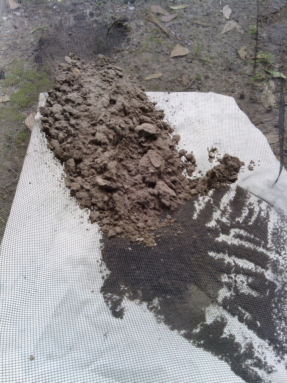 How to make hikaru dorodango - B+C Guides