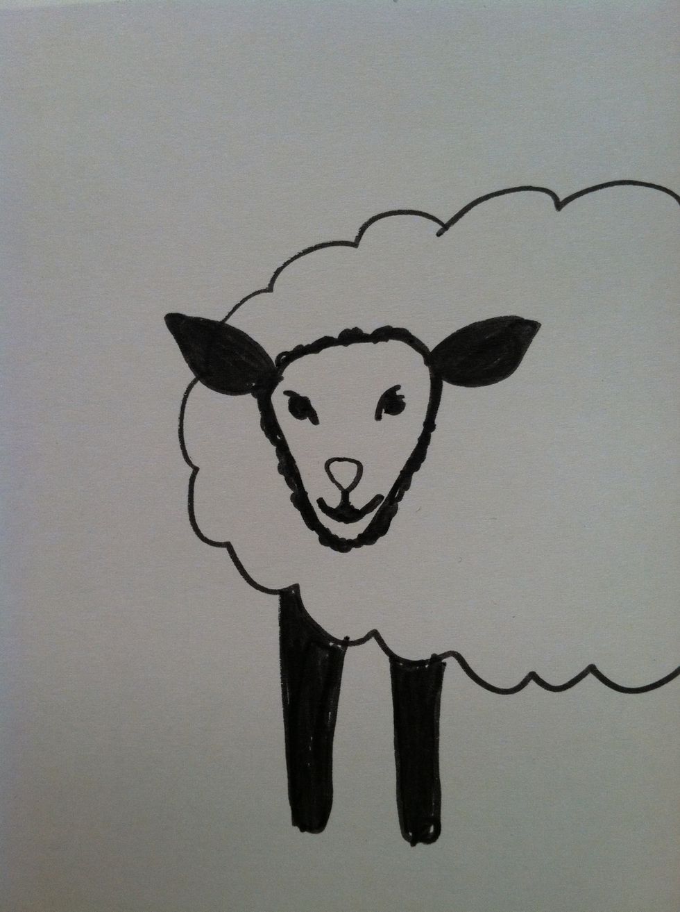 How to draw a sheep - B+C Guides