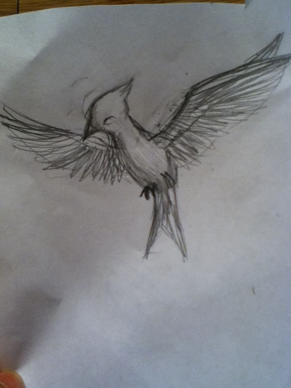 How to draw the mockingjay - B+C Guides