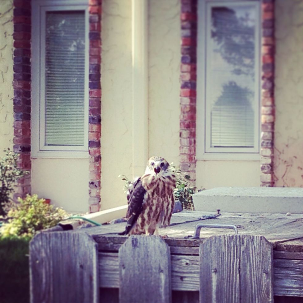 How to Keep Sanity - B+C Guides