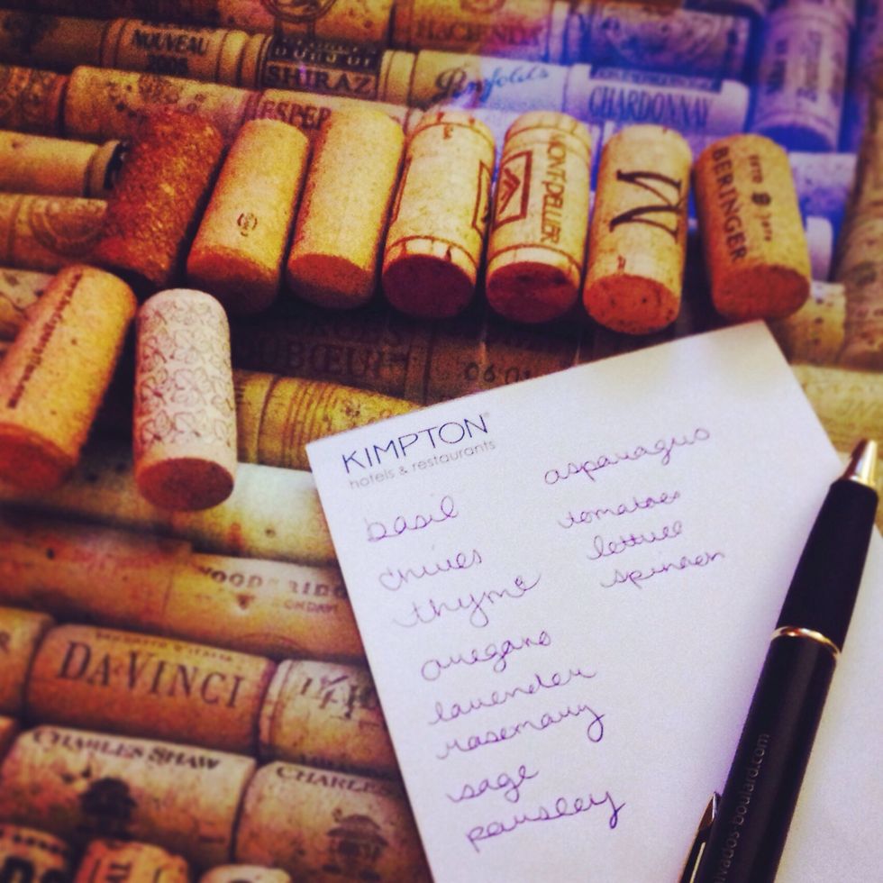 How to create wine cork plant labels - B+C Guides