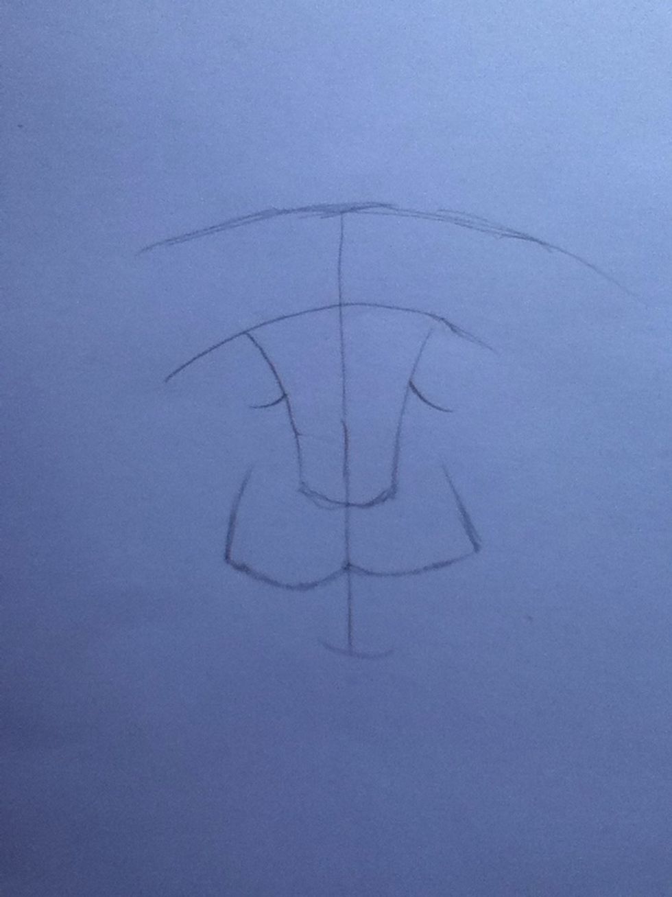 How to draw a realistic cat face - B+C Guides