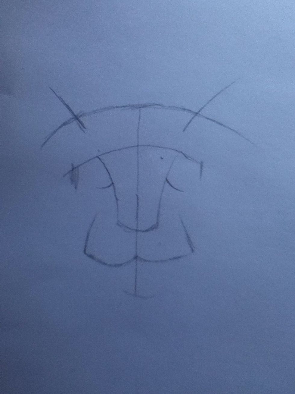 How to draw a realistic cat face - B+C Guides