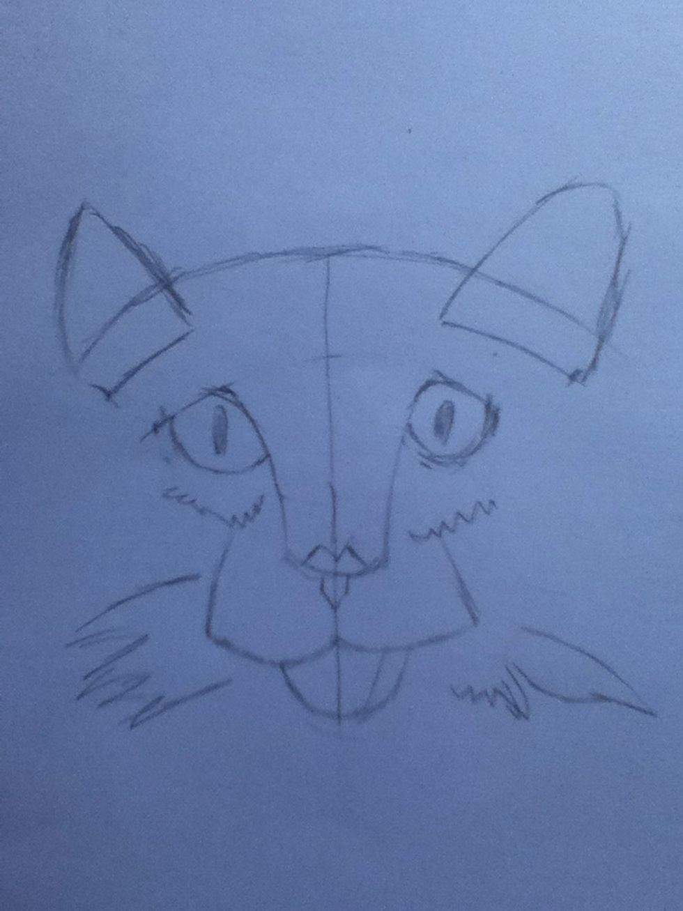 How to draw a realistic cat face - B+C Guides