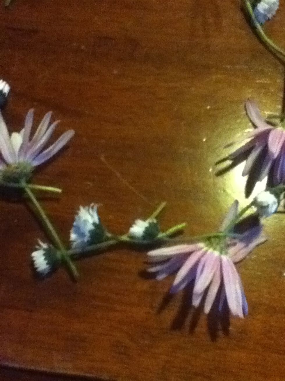 How to make a daisy chain - B+C Guides