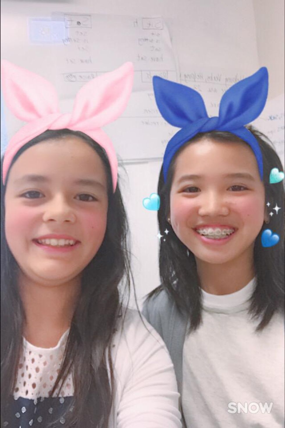 How to shout out to panda 🐼 - B+C Guides