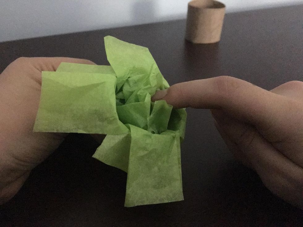 How to make tiolet paper roll trees - B+C Guides