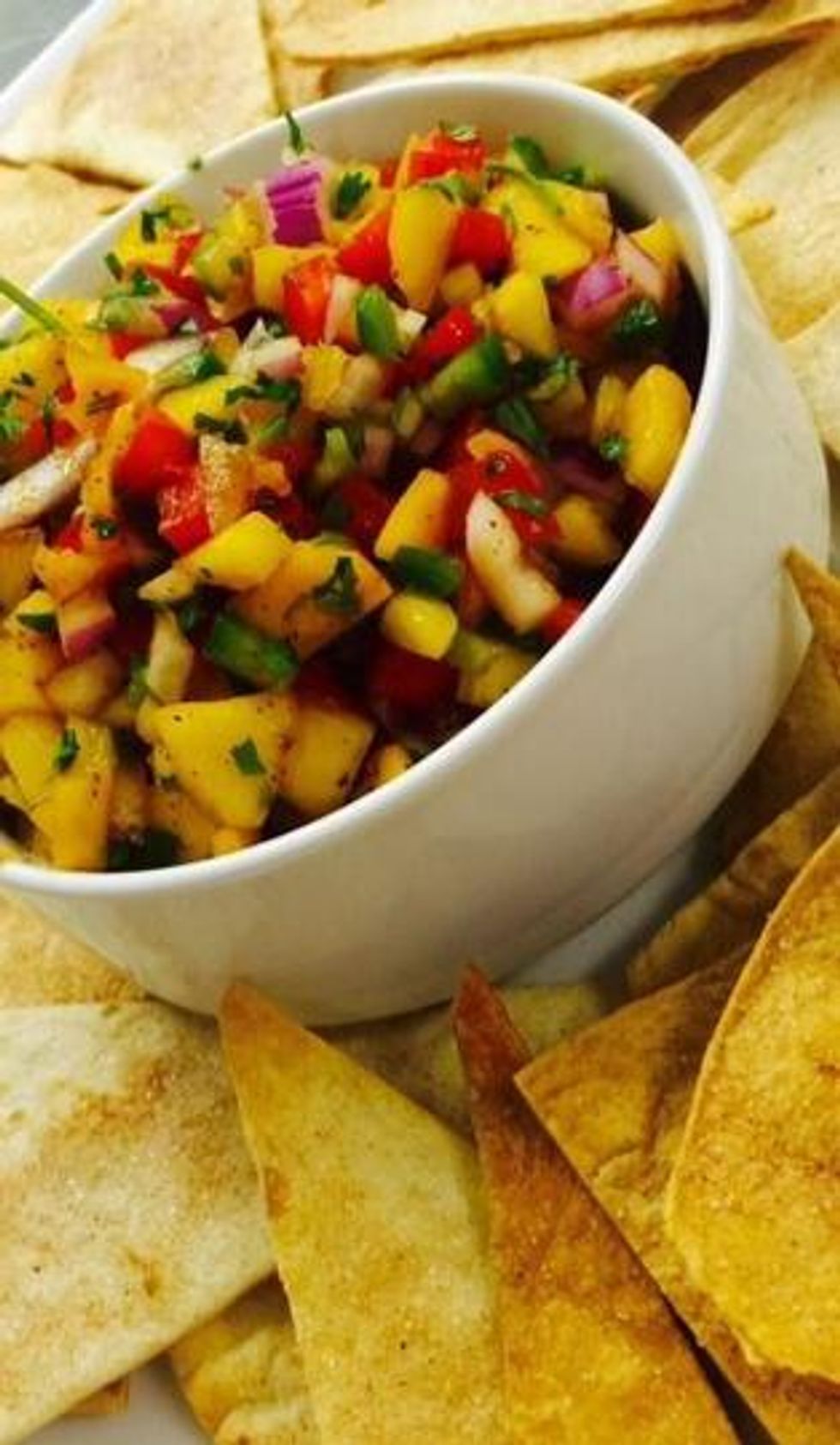 How To Cold Smoke Peach Salsa In The Alto Shaam Ctp Oven B C Guides
