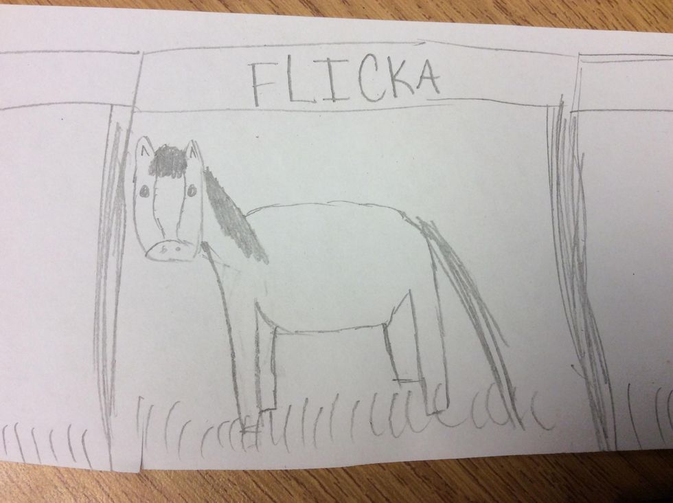 How to animated animal drawing contest - B+C Guides