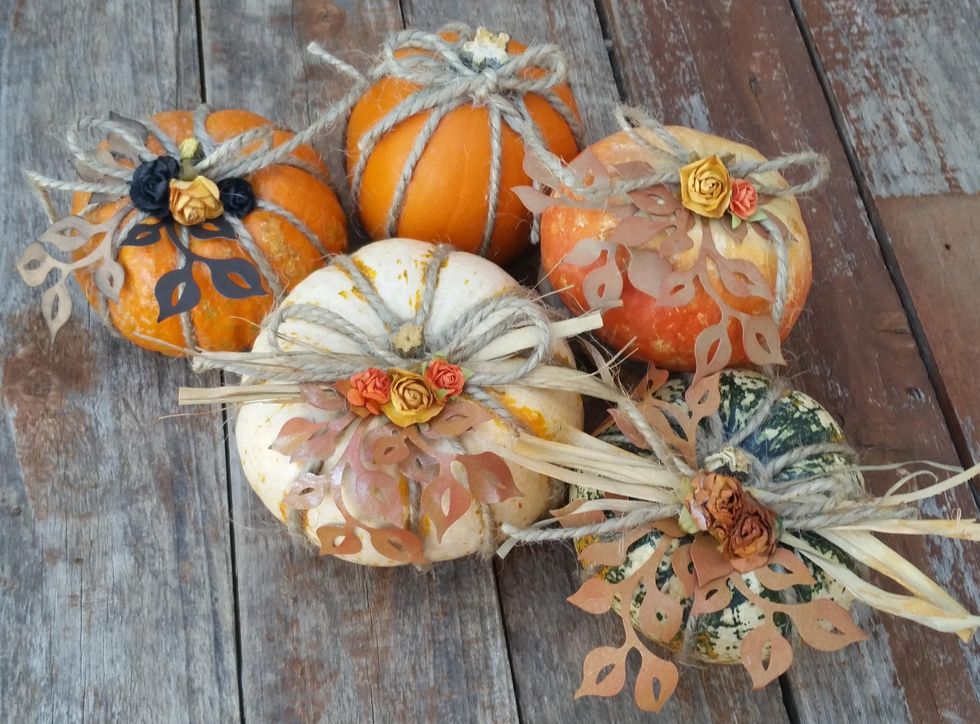 How to create decorated mini pumpkins - B+C Guides