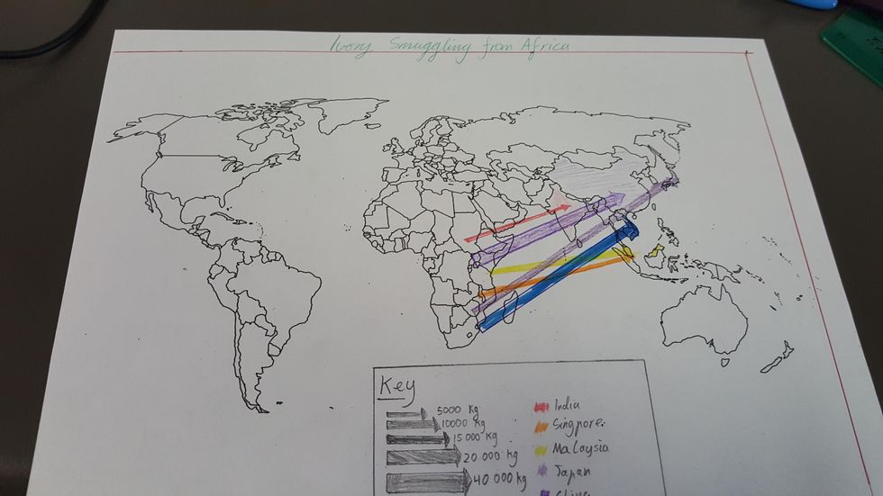 How to create a flow map - B+C Guides