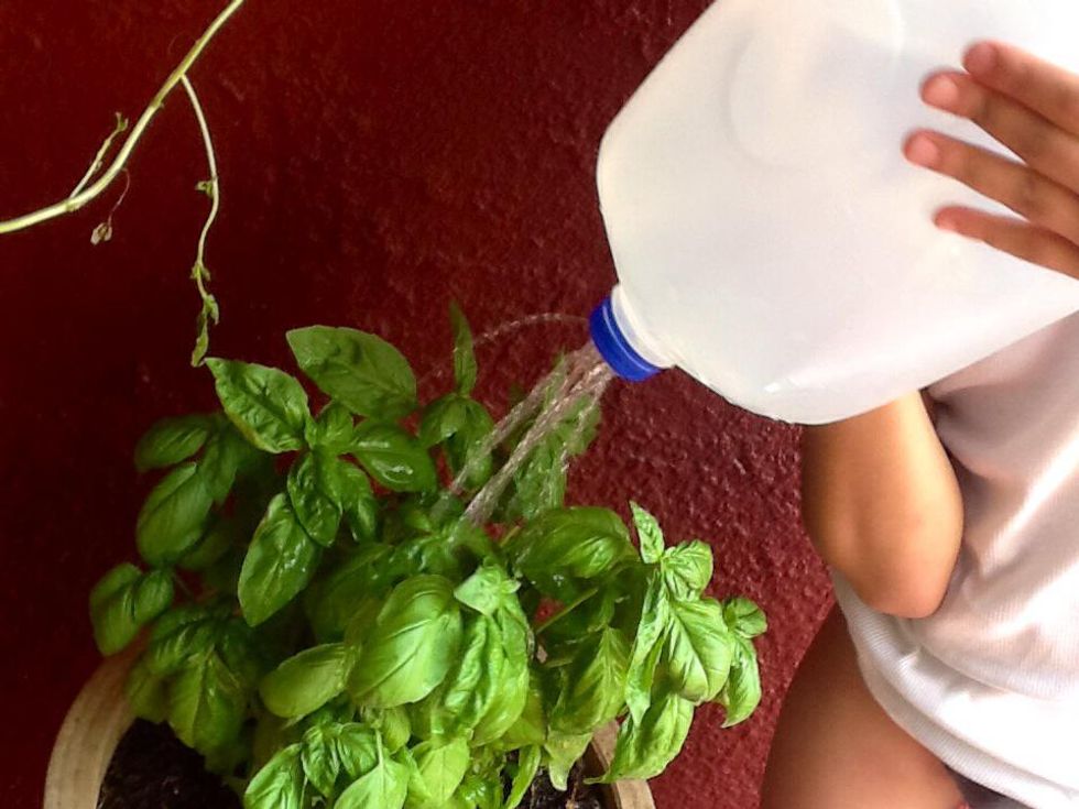 How to make a recycled watering can - B+C Guides