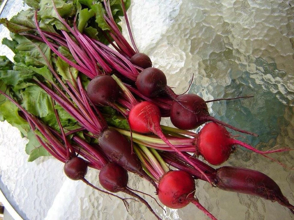 How to make a lip/cheek stain using beets - B+C Guides