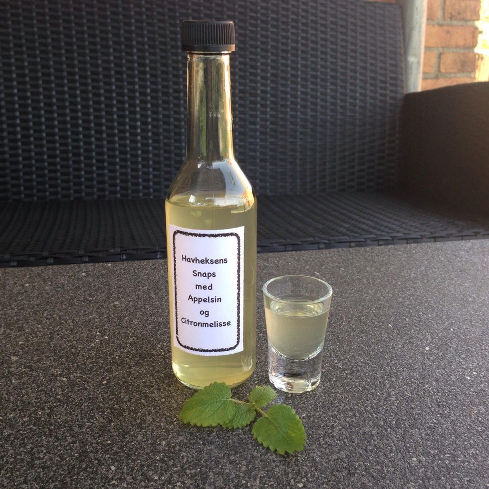 How to make danish snaps with lemon balm and orange - B+C Guides