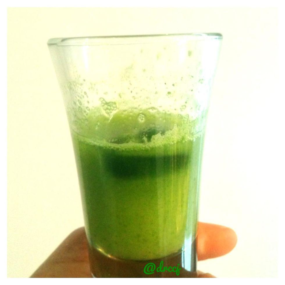 How to make fresh frozen wheatgrass (blender method) - B+C Guides