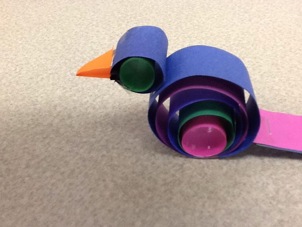 How to quill a bird - B+C Guides