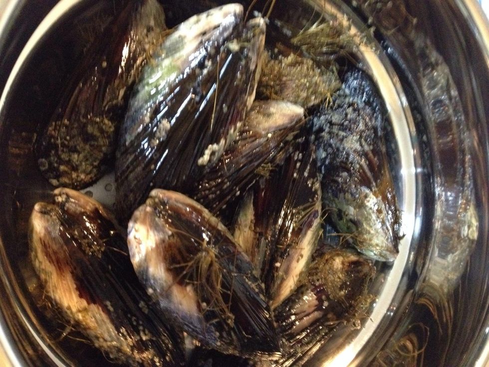 How to prepare and cook wild mussels - B+C Guides