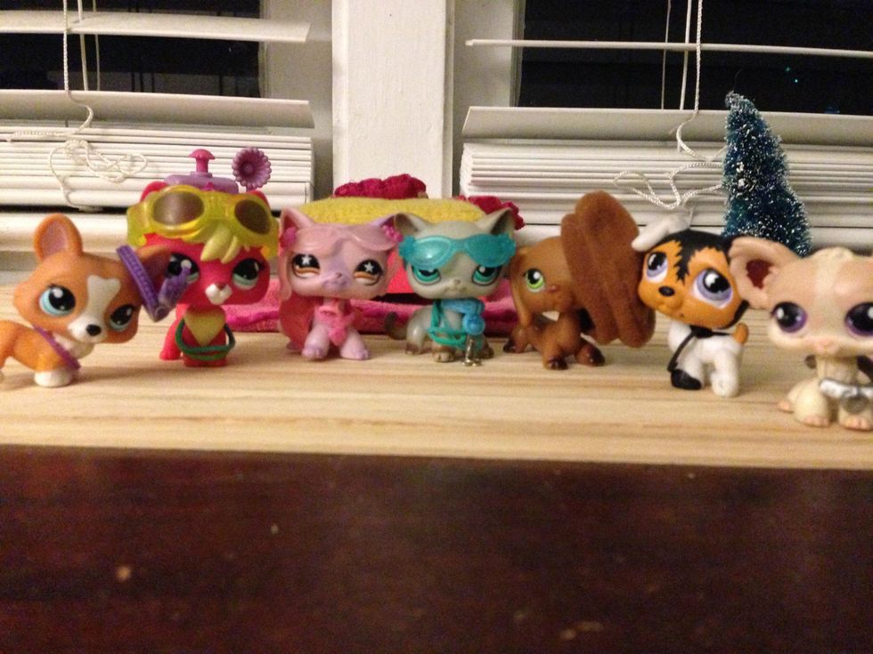 How to lps fashion shoot! 🎵 - B+C Guides