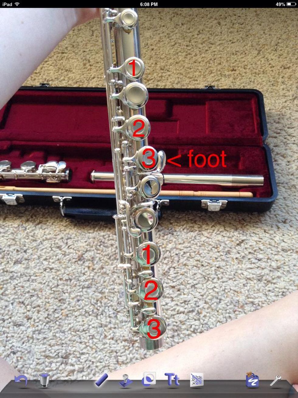 How to know where to put your fingers on the flute - B+C Guides