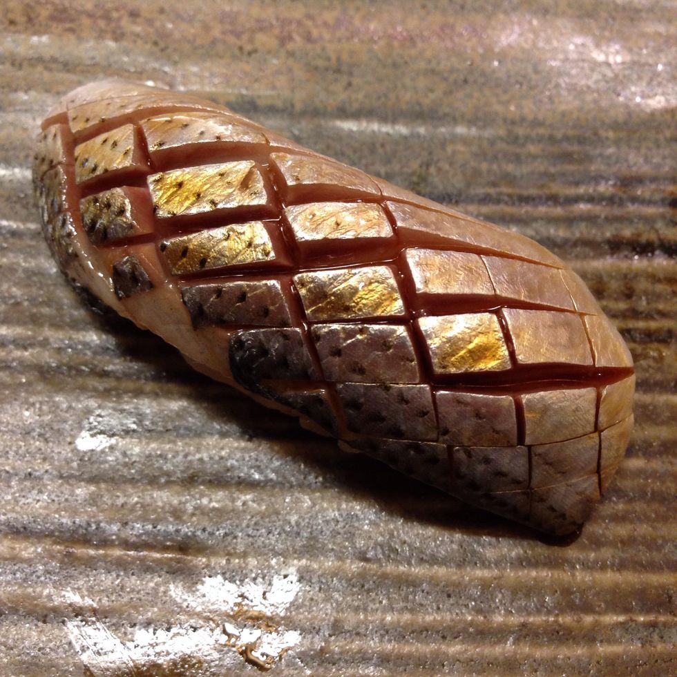 How to use ho - B+C Guides