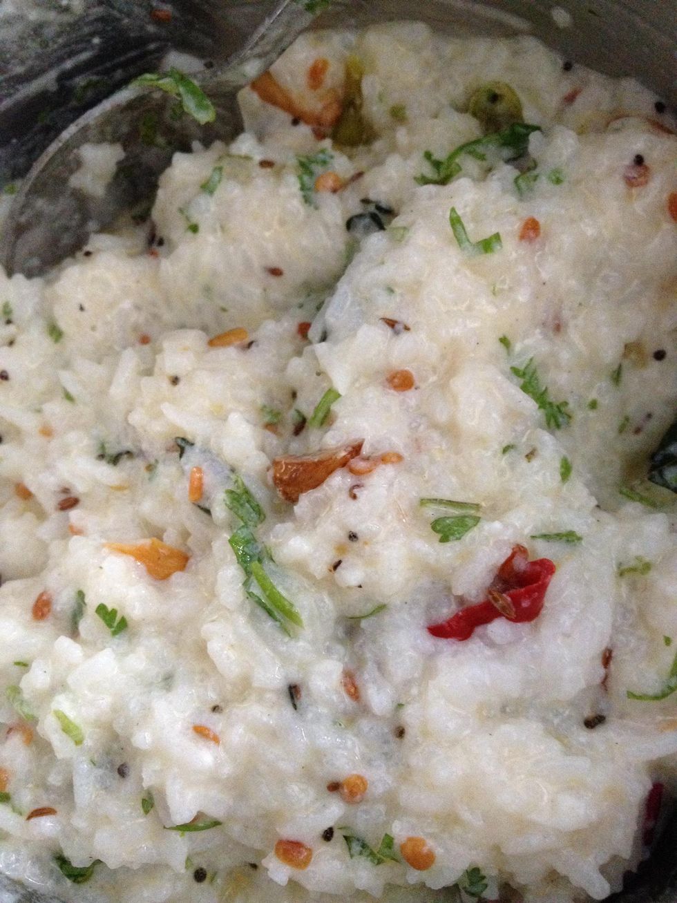 How to make curd rice - B+C Guides