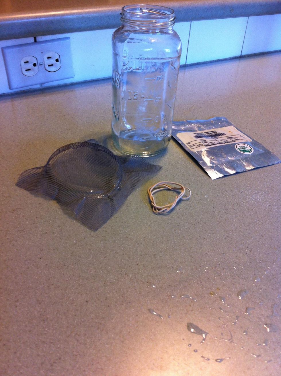 How to make edible sprouts - B+C Guides