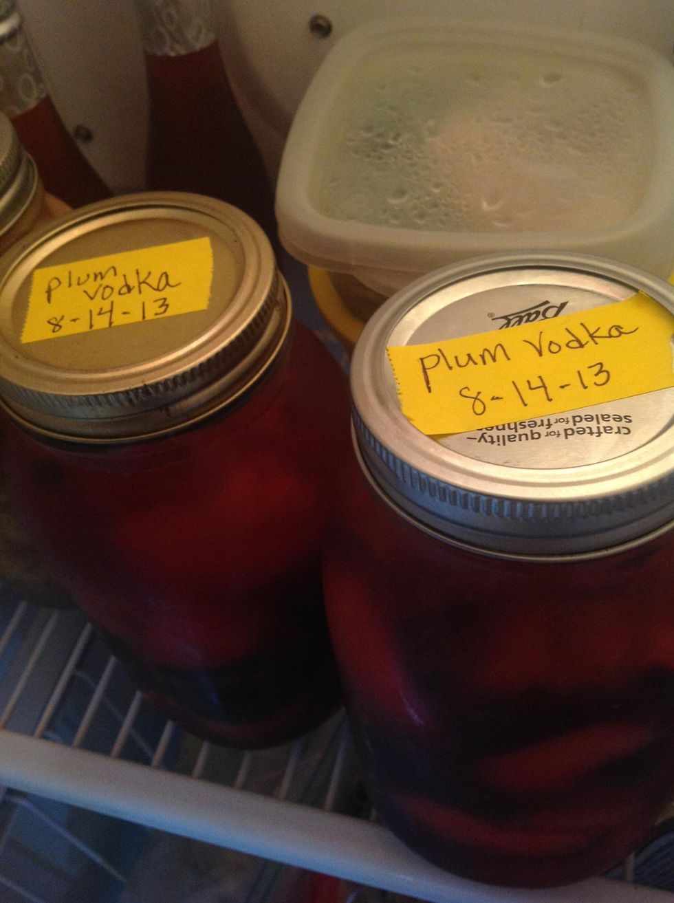 How to make plum vodka - B+C Guides