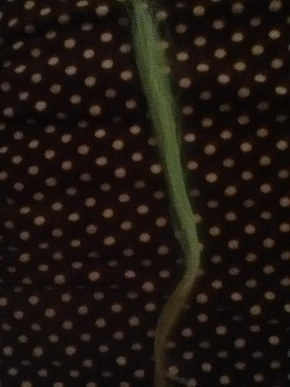 How to make fake highlights - B+C Guides