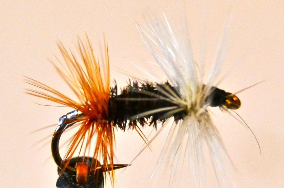 How to tie a renegade fly for fly fishing - B+C Guides