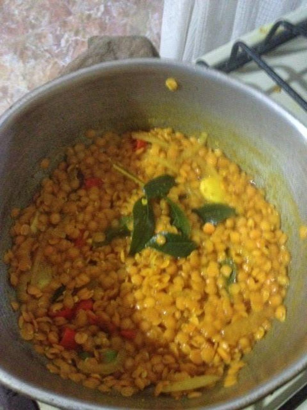 How to cook dhal curry - B+C Guides
