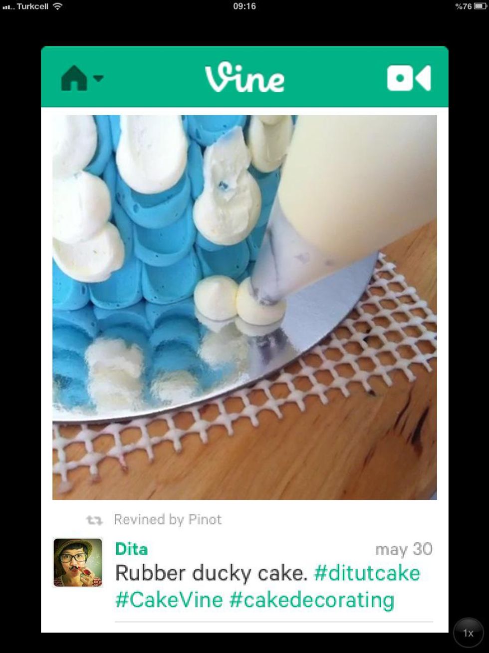 How to load vine - B+C Guides