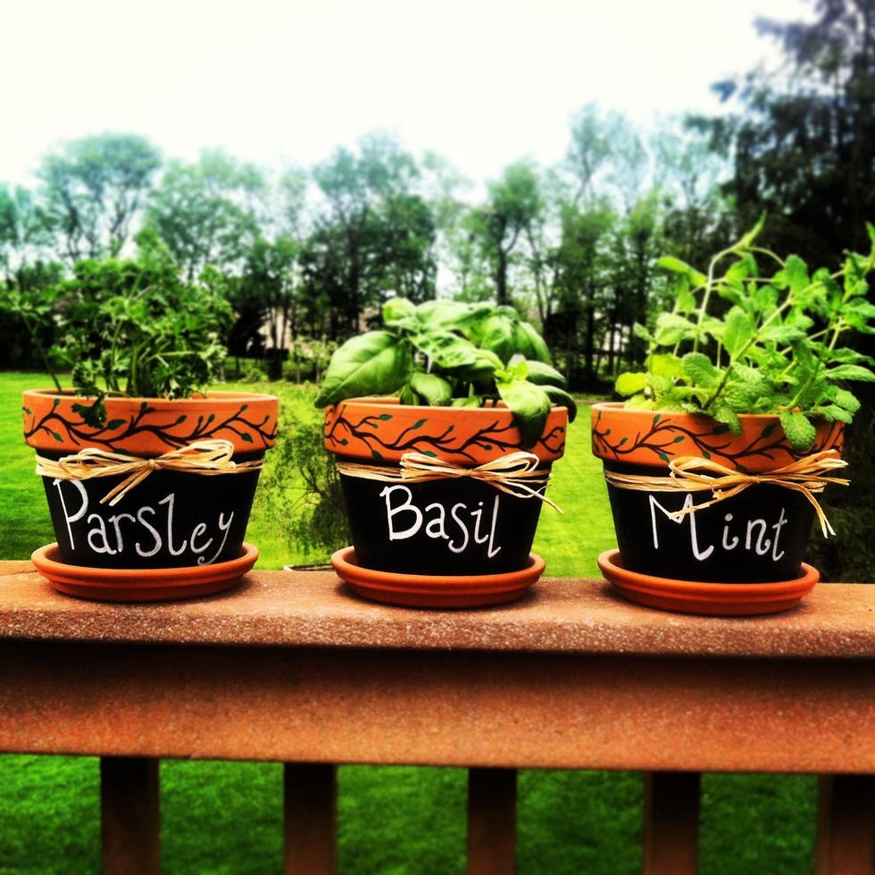 How to create labeled terracotta pots - B+C Guides