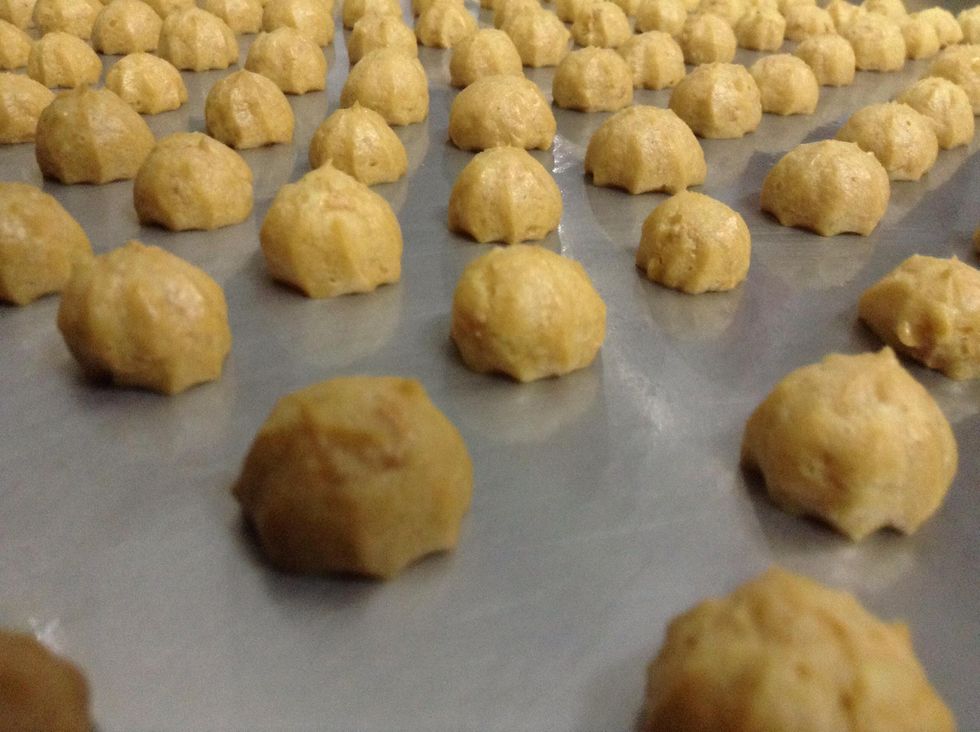 How to make a crunchy choux paste - B+C Guides