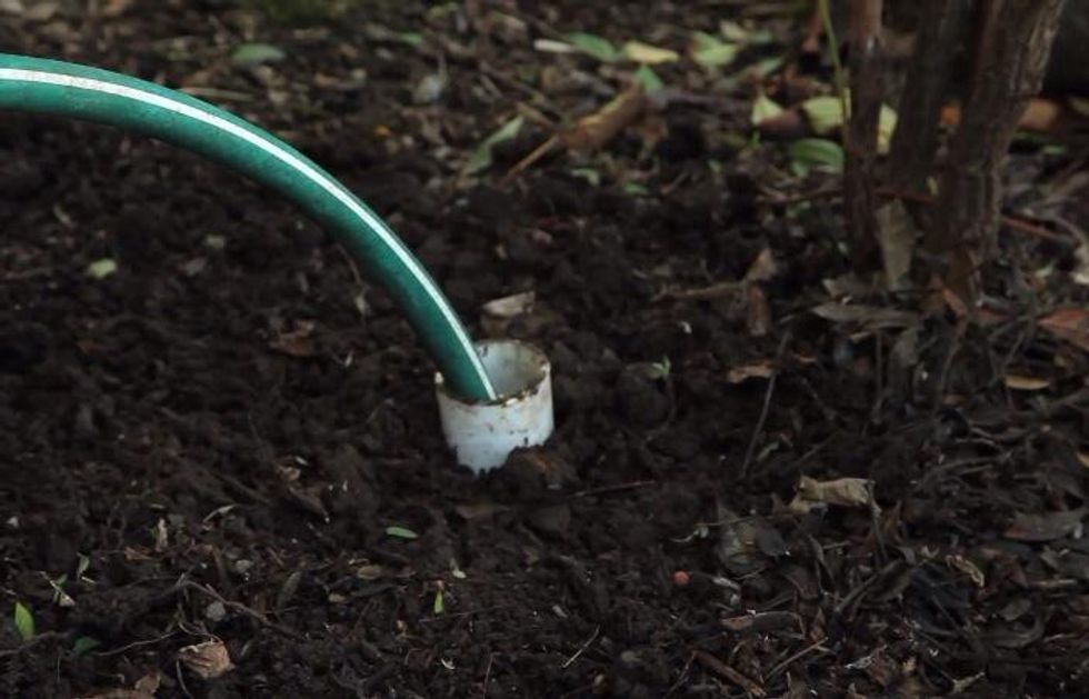 How to get water directly to the roots - B+C Guides