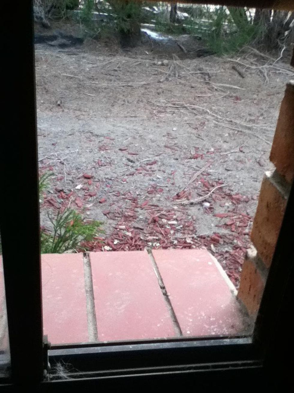 How to get a nice smelling room - B+C Guides