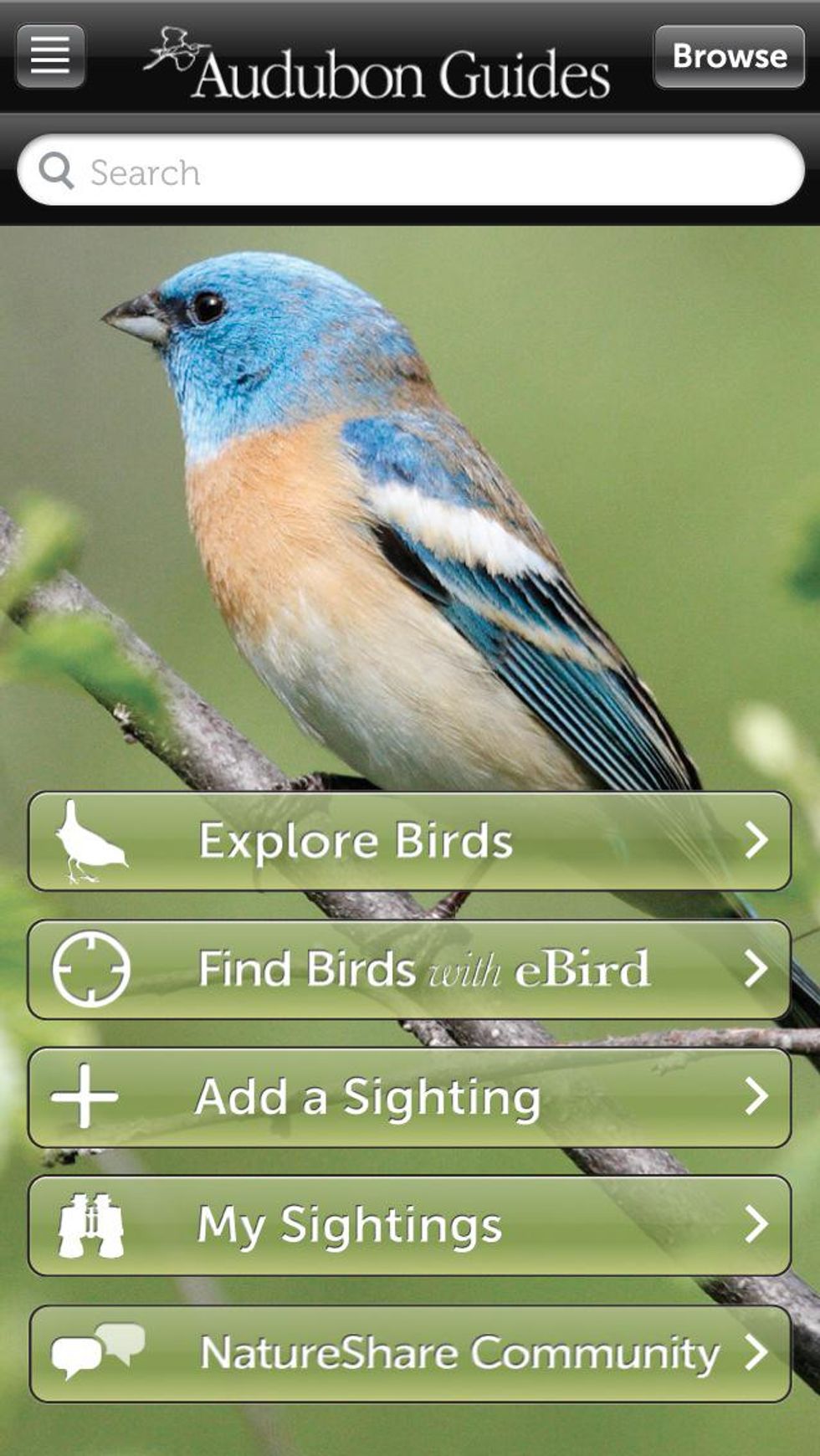 How to add a sighting in audubon birds - B+C Guides