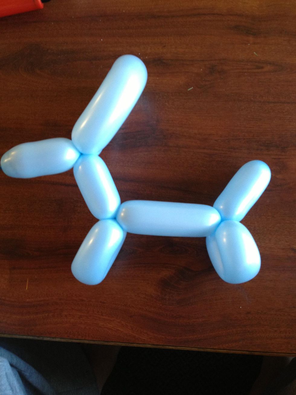 How to make a dog balloon animal - B+C Guides