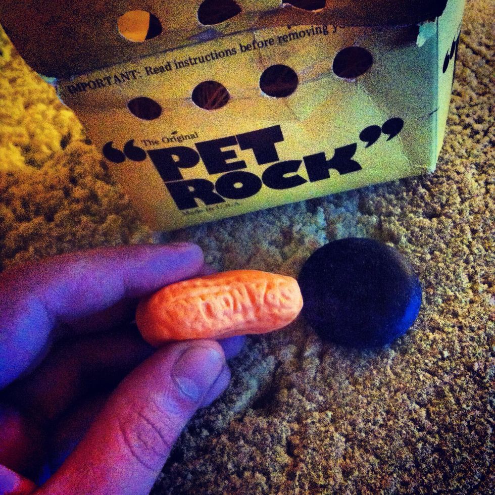 How to care for your pet rock - B+C Guides