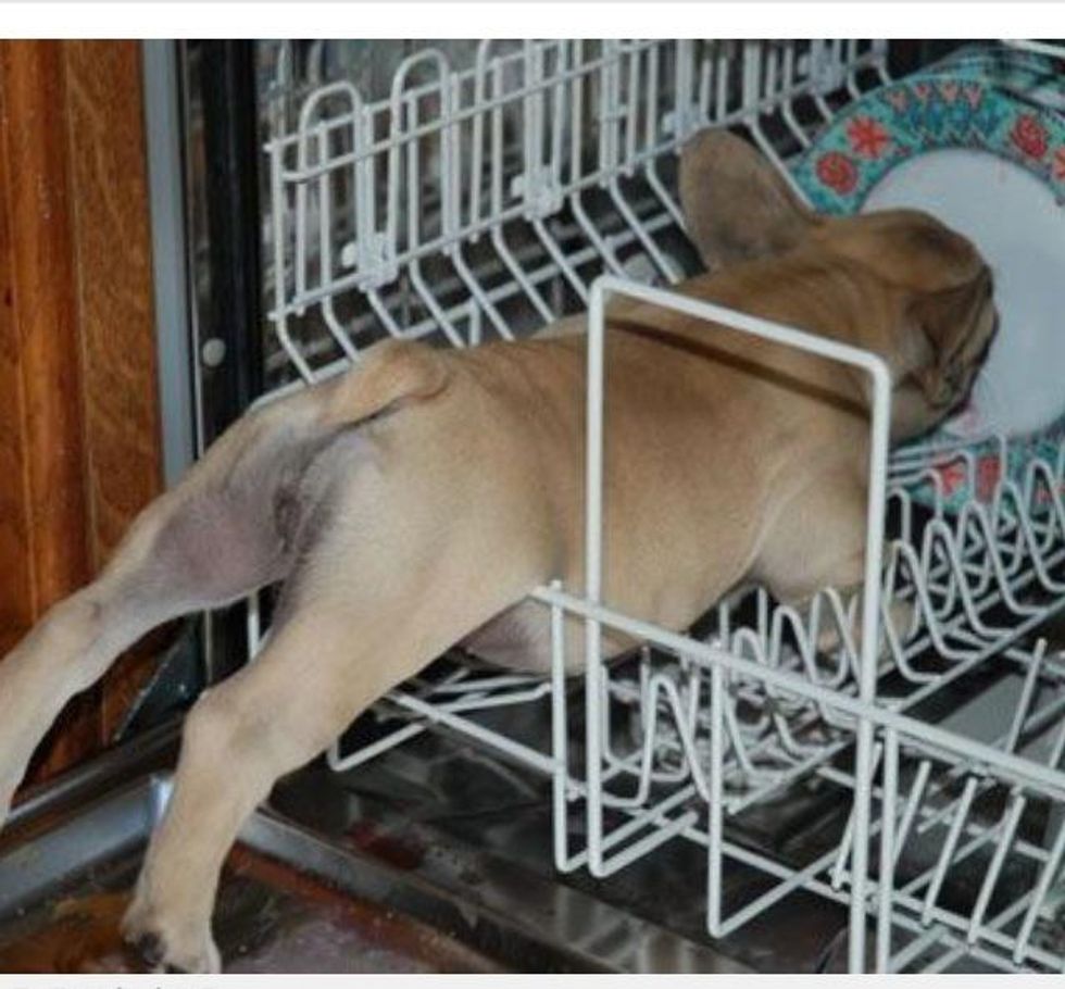 How to make cream cheese fondant - B+C Guides