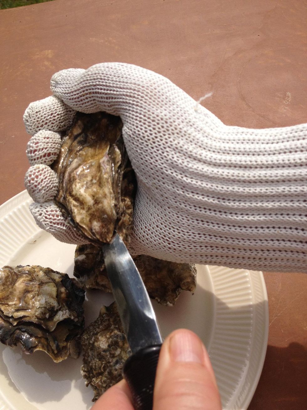 How to shuck an oyster - B+C Guides